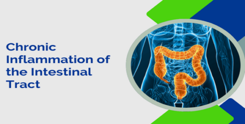Chronic Inflammation of the Intestinal Tract | Dr. Ksheetij Kothari